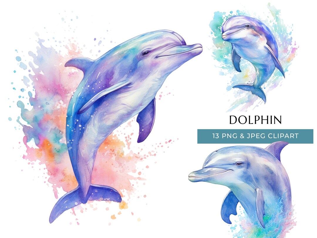 Watercolor Dolphin Clipart – Sea Animal PNG & JPEG (digital Download ...