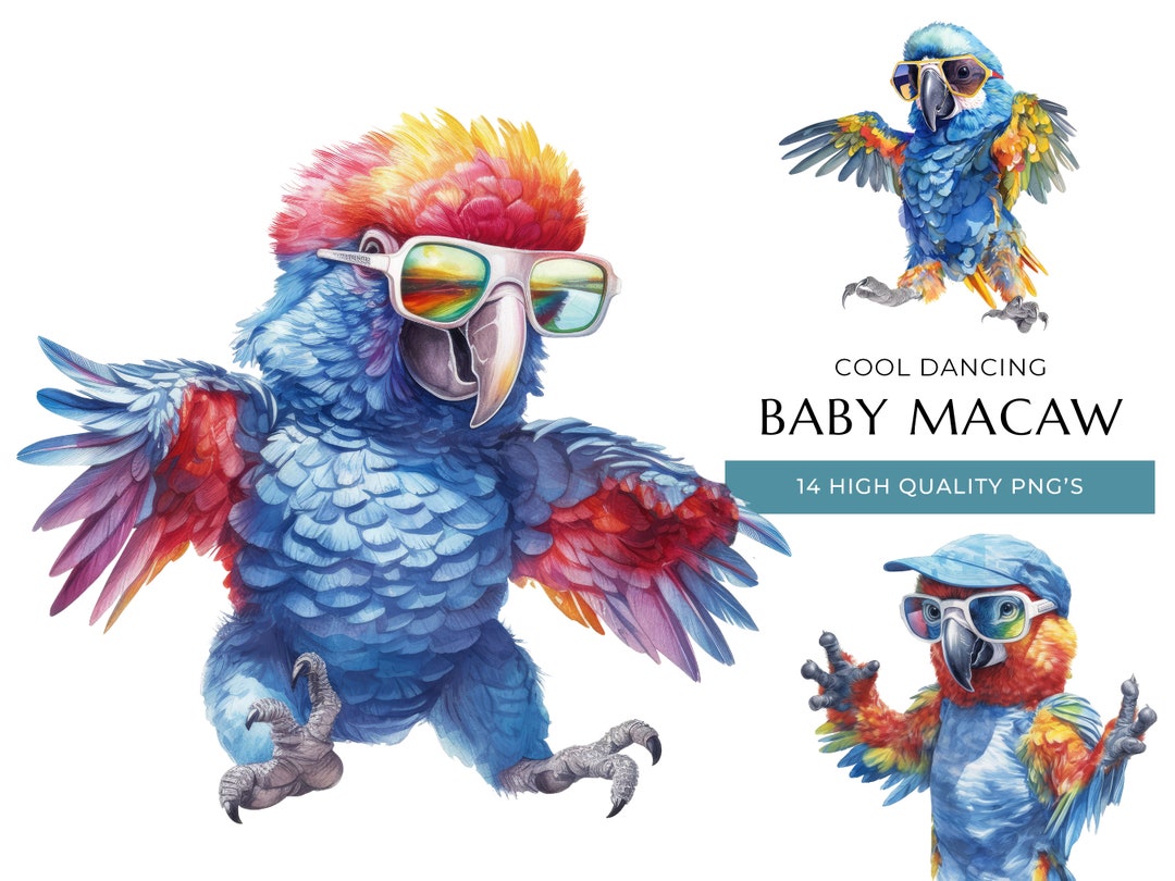Dancing Baby Macaw Watercolor Clipart, PNG Prints (digital Download) - Etsy