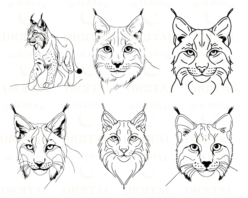 Lynx Line Art SVG Clipart: Feline Vector Graphics (digital Download) - Etsy