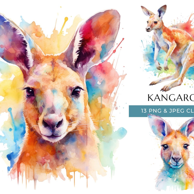 Kangaroo Watercolor - Etsy
