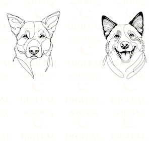Blue Heeler Line Art: Australian Cattle Dog SVG Clipart (digital ...