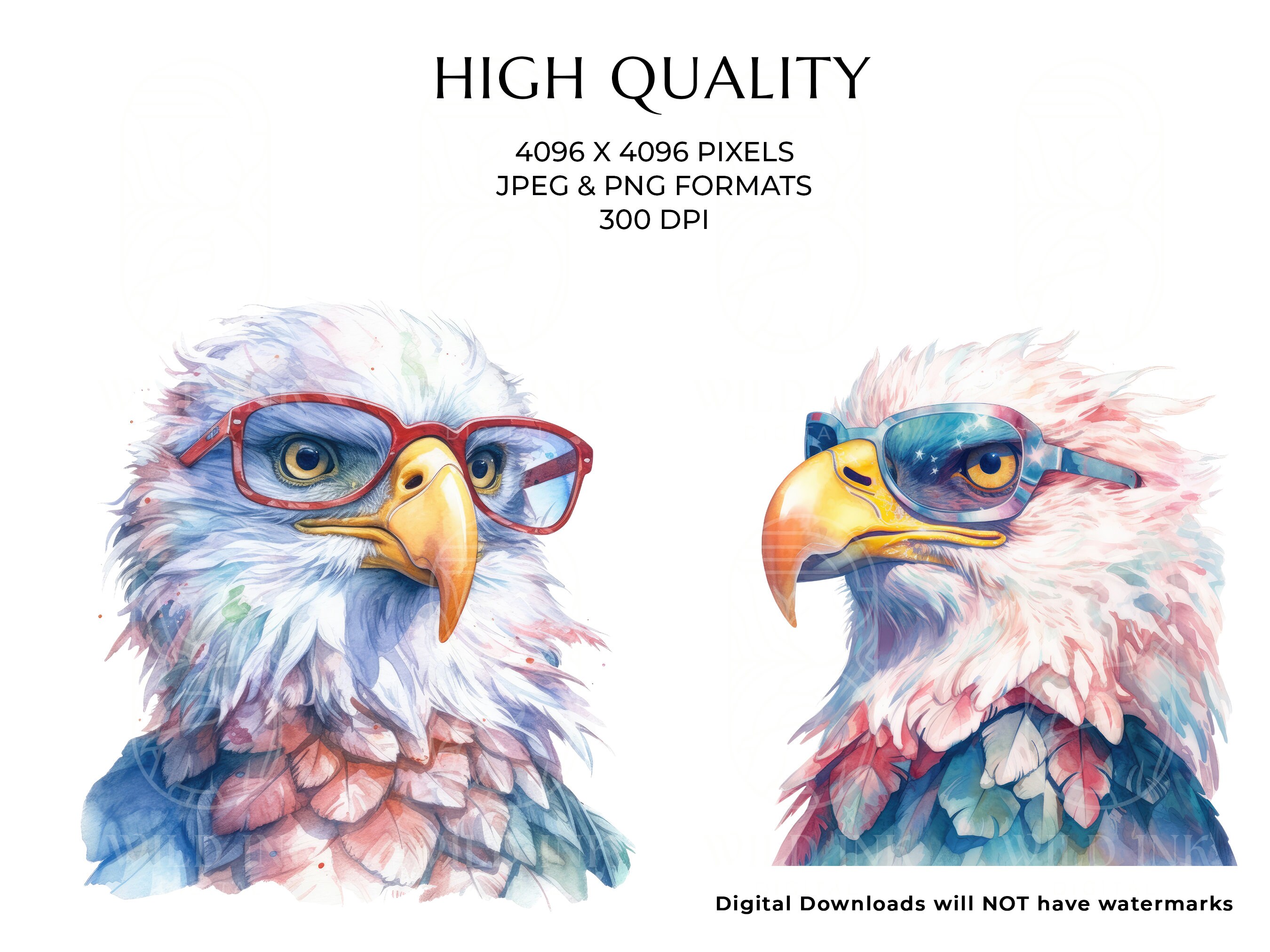 Watercolor Eagle Clipart With Sunglasses 12 High-quality PNG - Etsy