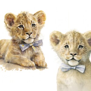 Baby Lion Watercolor Clipart: Safari Nursery Art (digital Download) - Etsy