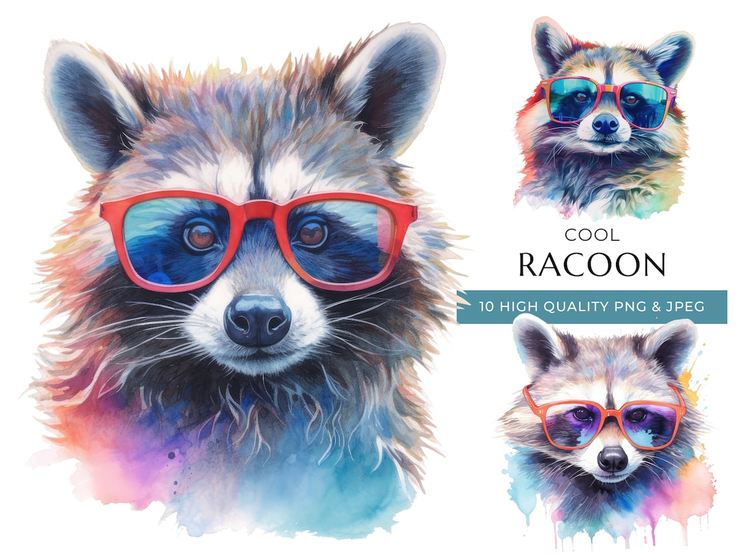 Watercolor Racoon Clipart With Sunglasses, 10 High-quality PNG & JPEG ...