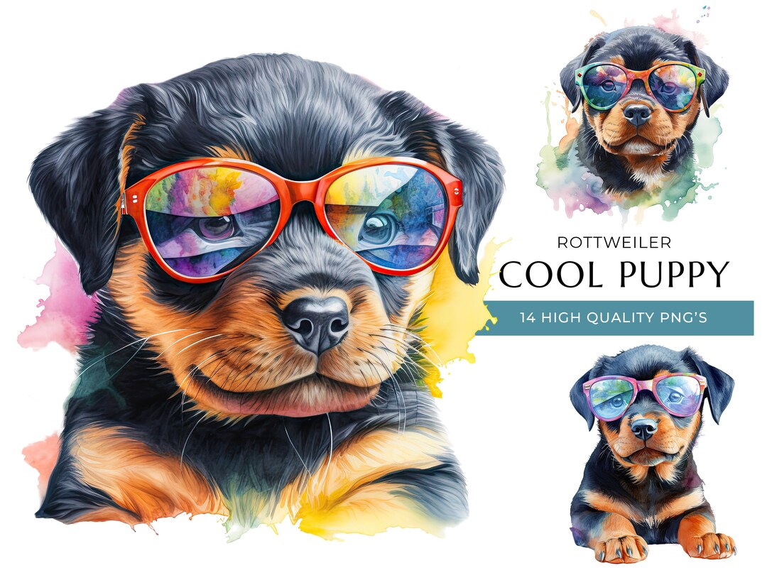 Cool Rottweiler Puppy Dog Clipart, 14 High Quality Pngs, Funny and Cute ...