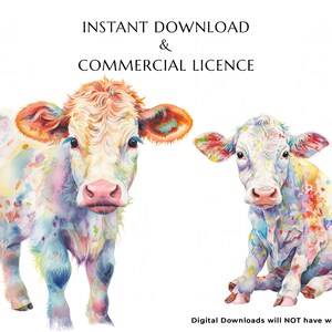 Baby Cow Watercolor Clipart 9 Pngs, Nursery Decor, Farm Wall Art ...
