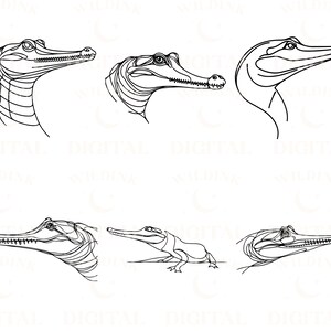Gharial Line Art SVG: Minimalist Alligator Vector (digital Download) - Etsy