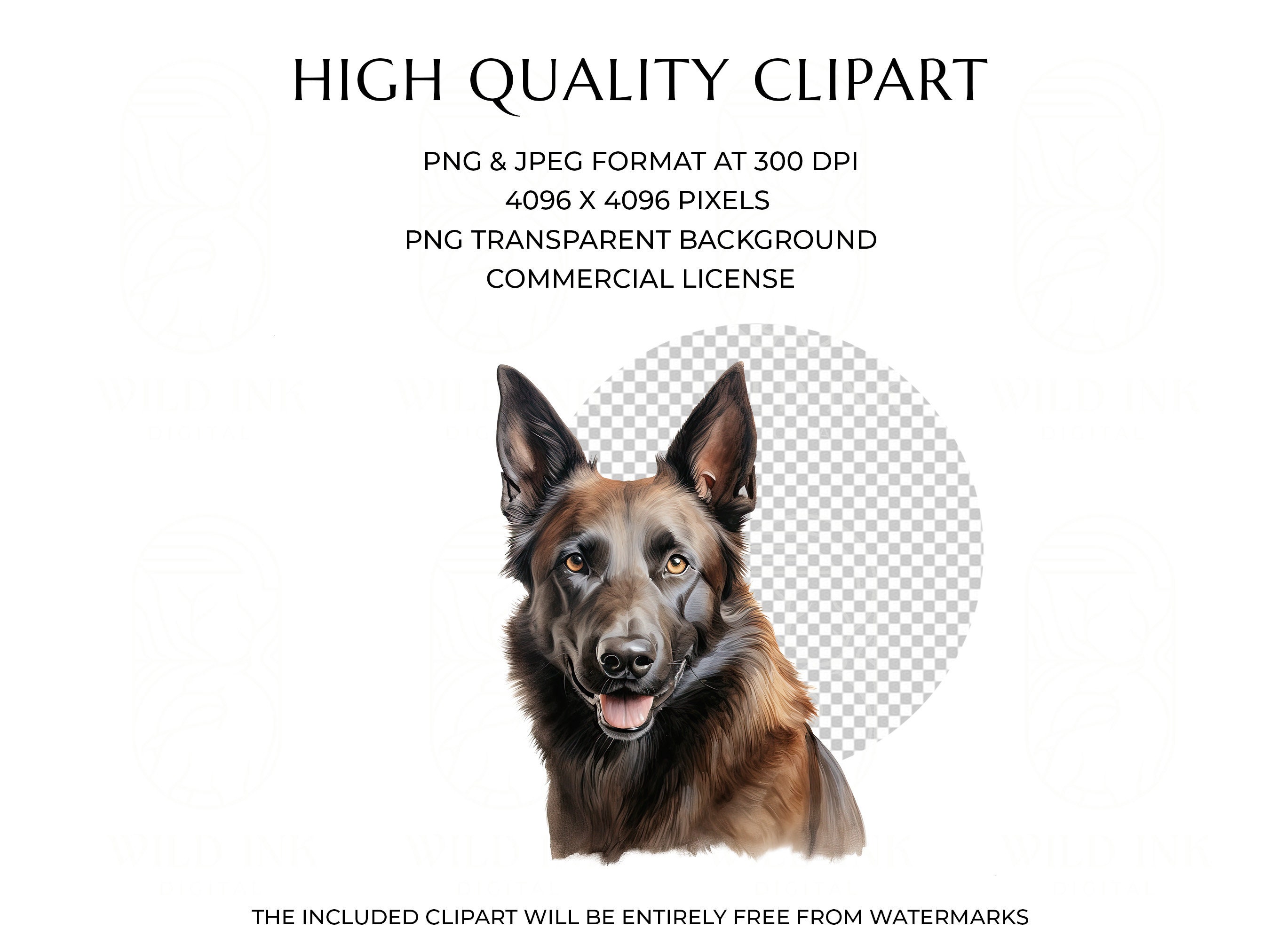 Watercolor Dutch Shepherd Clipart Bundle, Dog Mom Gift (digital ...