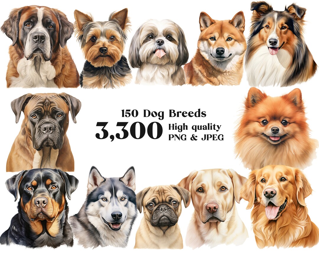 Dog Breeds Clipart Mega Bundle: 150 Breeds, PNG, Sublimation (digital ...
