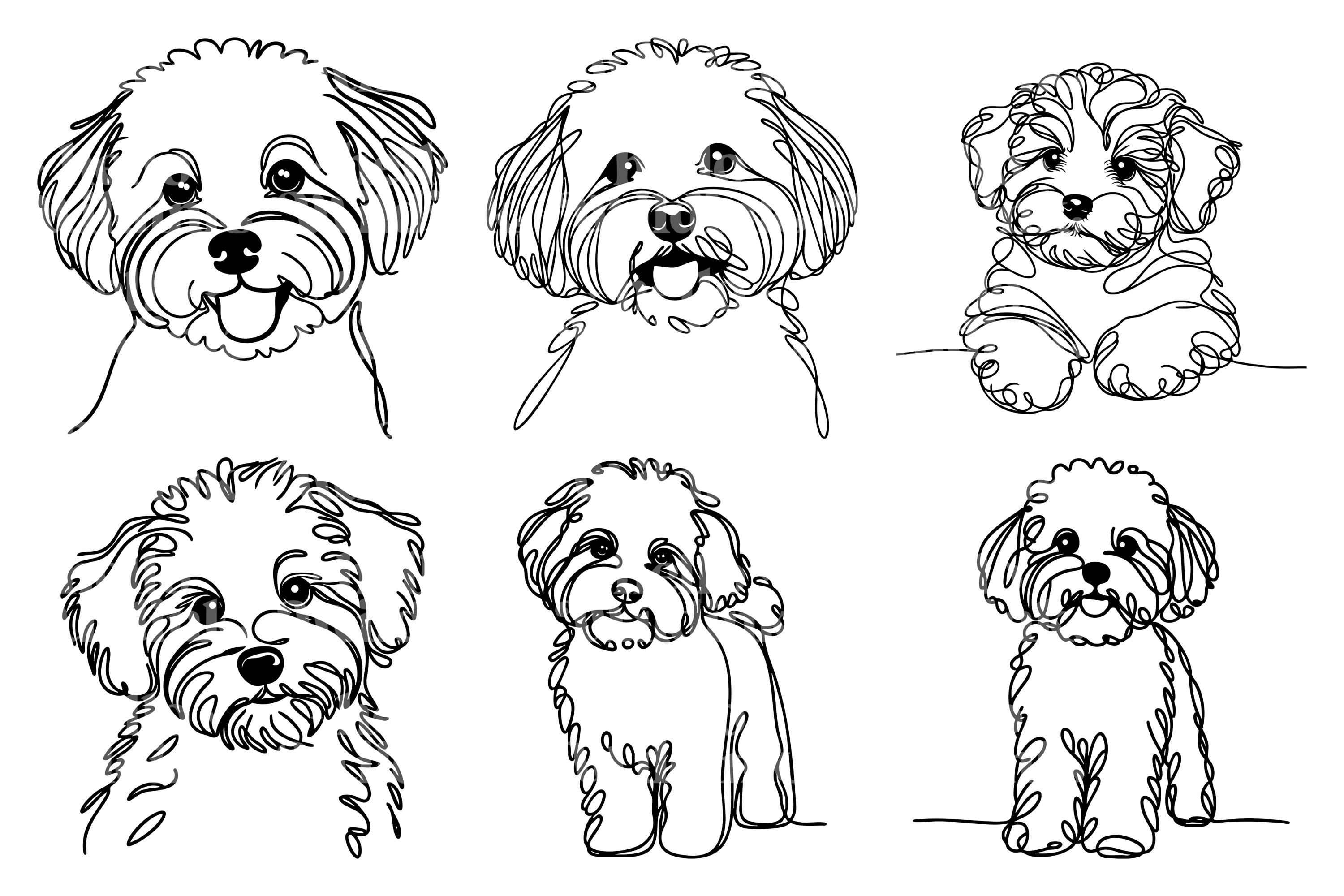 Maltipoo Line Art Clipart Bundle: Minimalist Dog SVG, PNG (digital ...