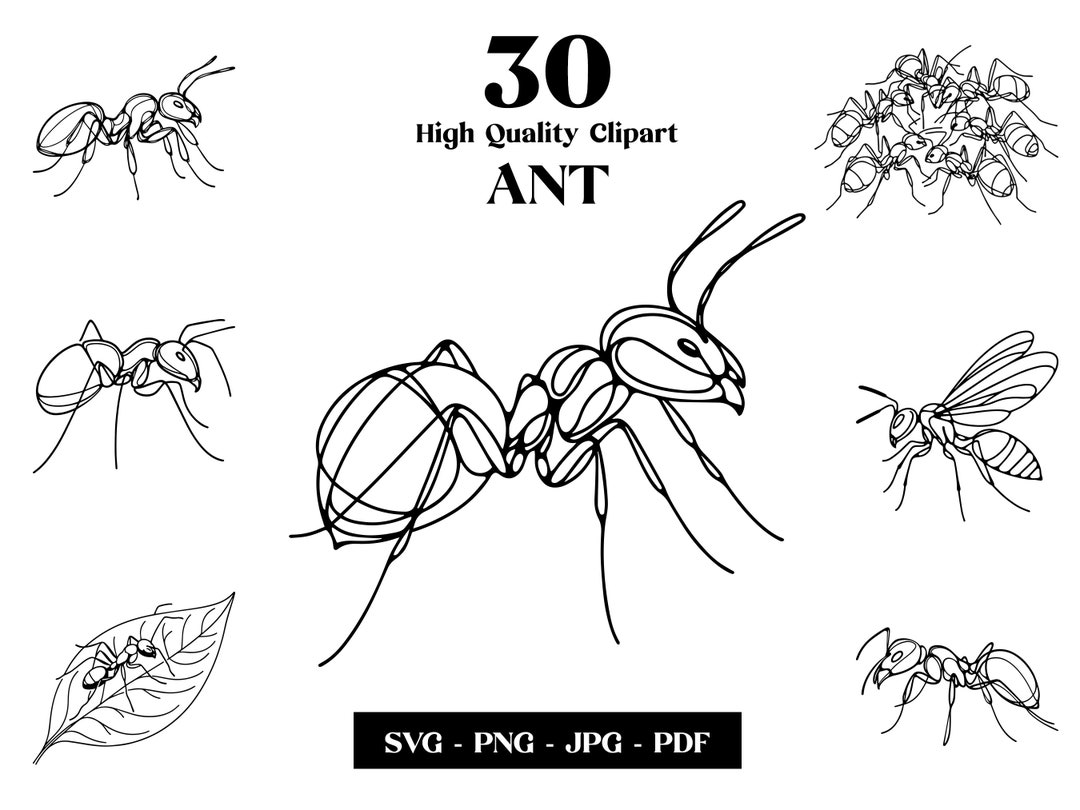 Ant SVG Clipart: Minimalist Insect Line Art (digital Download) - Etsy