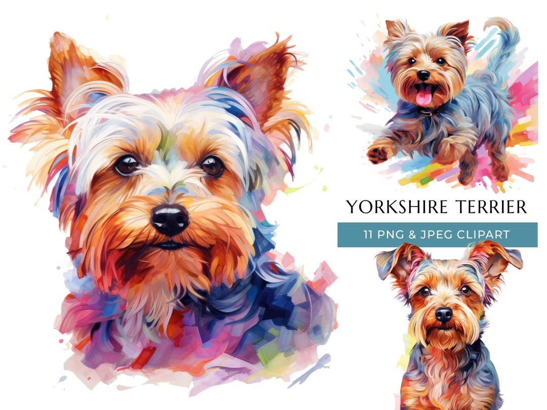 Yorkshire Terrier Dog Clipart - 11 High Quality Pngs & JPEG - Yorkie ...