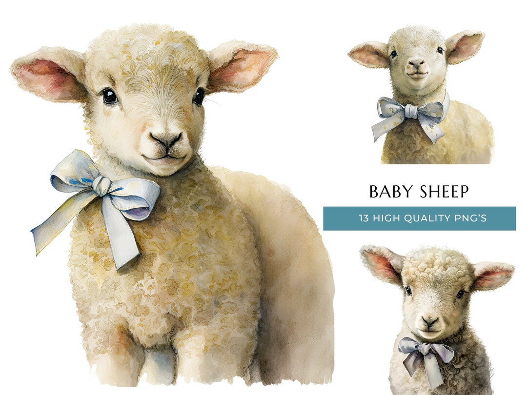 Baby Sheep With Bow Tie Watercolor Clipart of 13 Pngs, Farm Animals ...