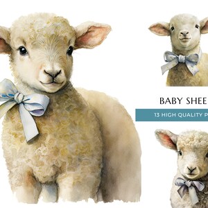 Baby Sheep With Bow Tie Watercolor Clipart of 13 Pngs, Farm Animals ...