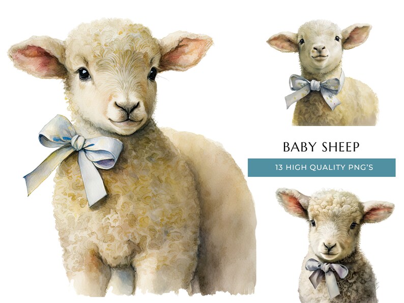 Baby Sheep With Bow Tie Watercolor Clipart of 13 Pngs Farm - Etsy