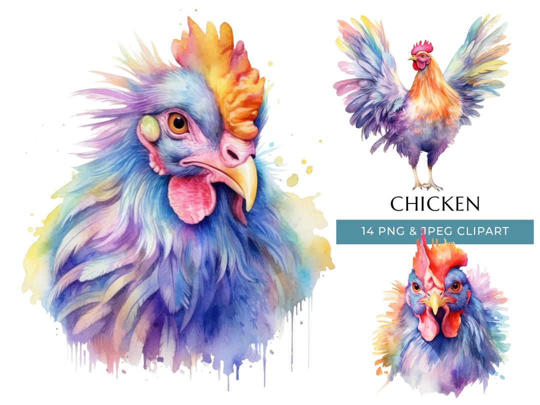 Watercolor Chicken Clipart – Farm Animal PNG & JPEG Graphics (digital ...