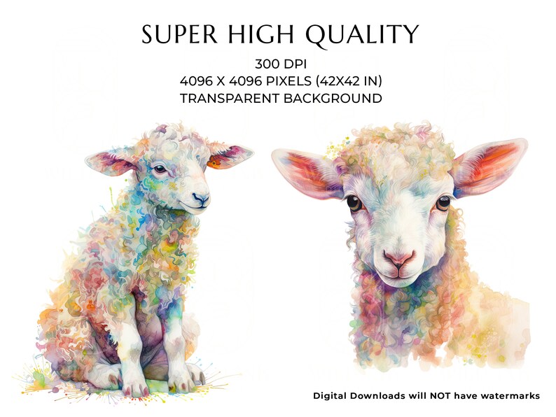 Baby Sheep Watercolor Clipart 7 Pngs Nursery Decor Farm - Etsy