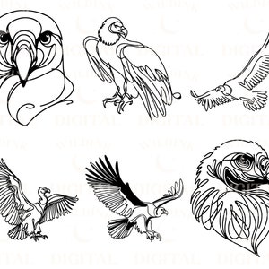 Condor SVG Clipart, Minimalist Line Art, Logo Animal Vector, Modern Art ...