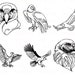 Condor Line Art SVG Clipart: Minimalist Tattoo Design (digital Download ...