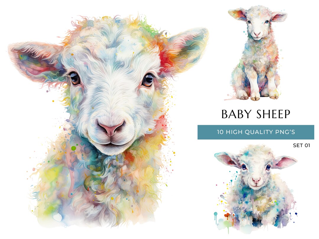 Baby Sheep Watercolor Clipart 7 Pngs, Nursery Decor, Farm Theme Wall ...