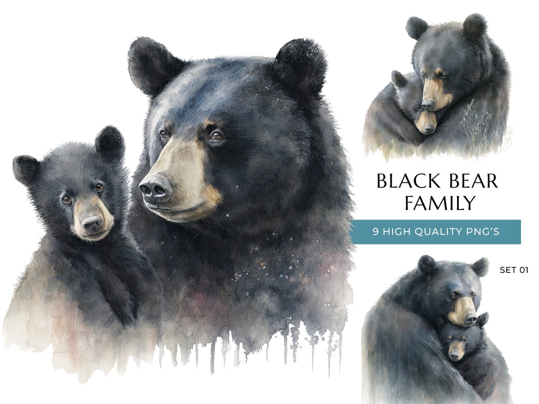 Mom and Baby Bear Clipart, 9 High Quality Pngs, Watercolor Cute Mama ...