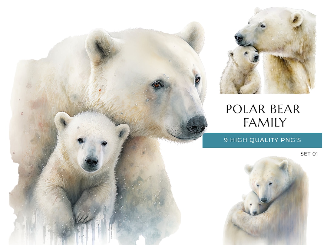 Mom and Baby Polar Bear Clipart, 9 High Quality Pngs, Watercolor Cute ...