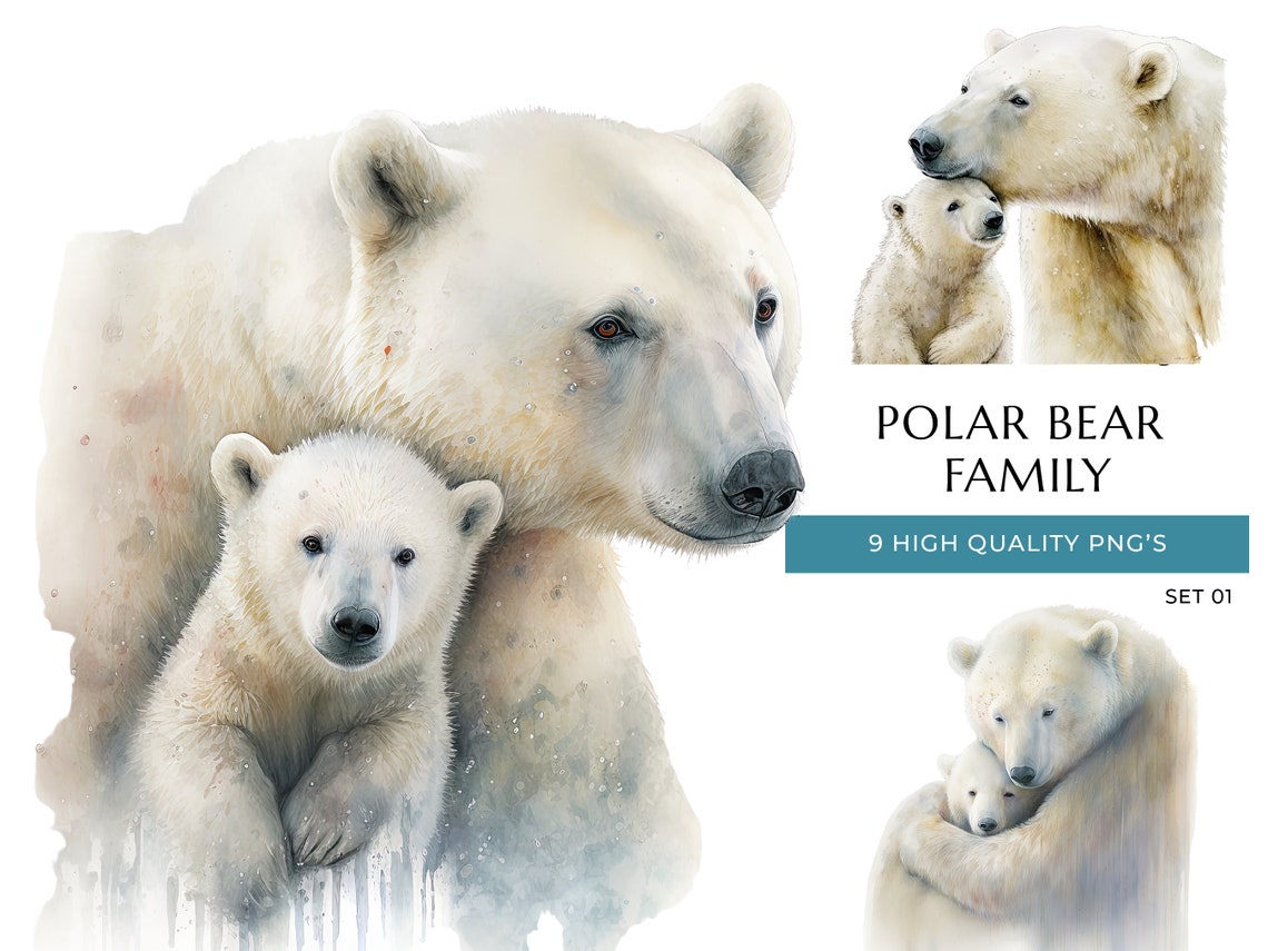 Mom and Baby Polar Bear Clipart 9 High Quality Pngs - Etsy