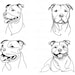 Staffordshire Bull Terrier Line Art Clipart Bundle (digital Download ...