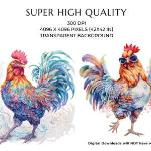 Dancing Rooster Clipart: Funny Watercolor Chicken Pngs (digital ...