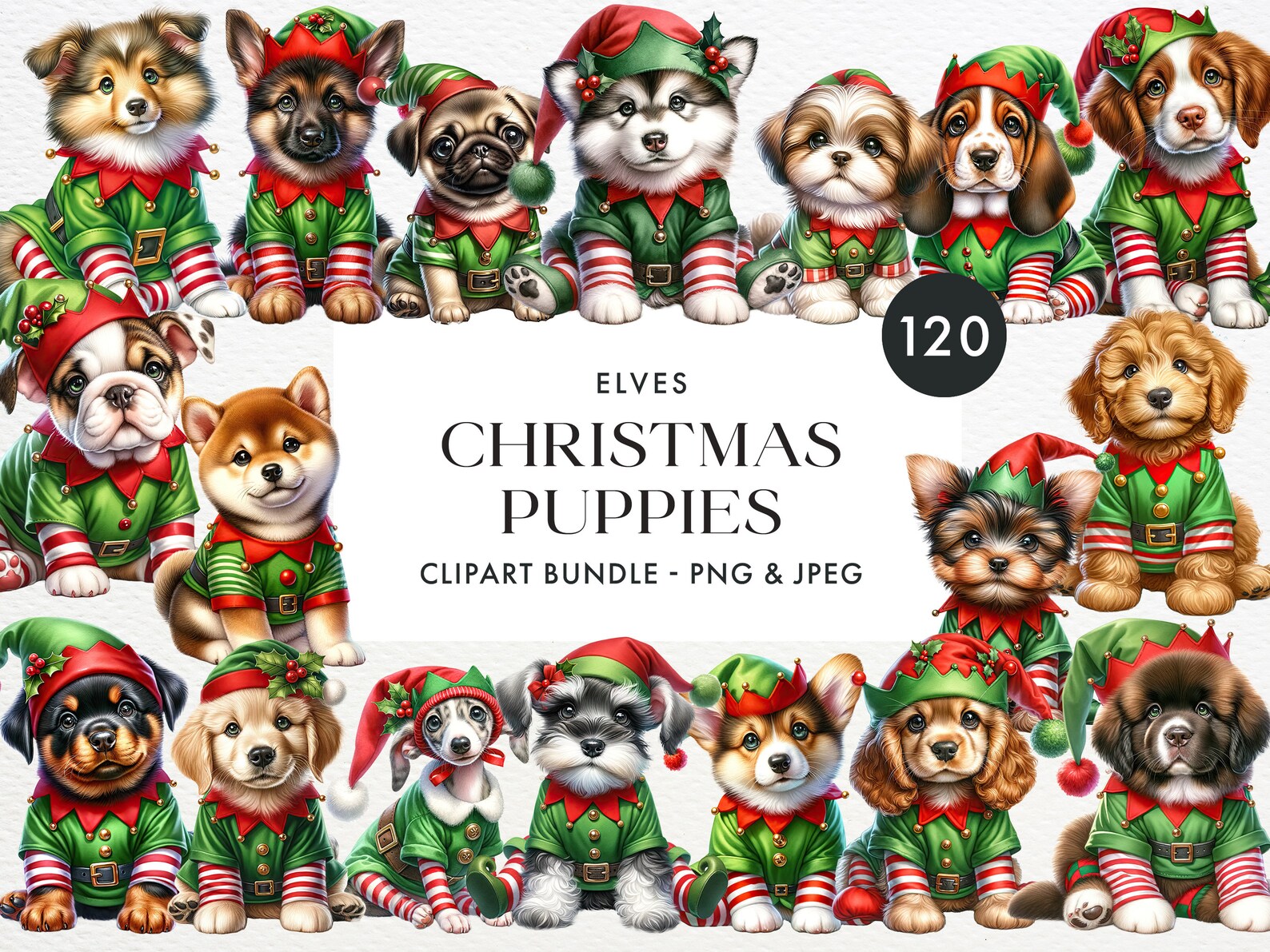 Christmas Puppy Clipart Bundle: 61 Dog Breeds as Elves (digital ...