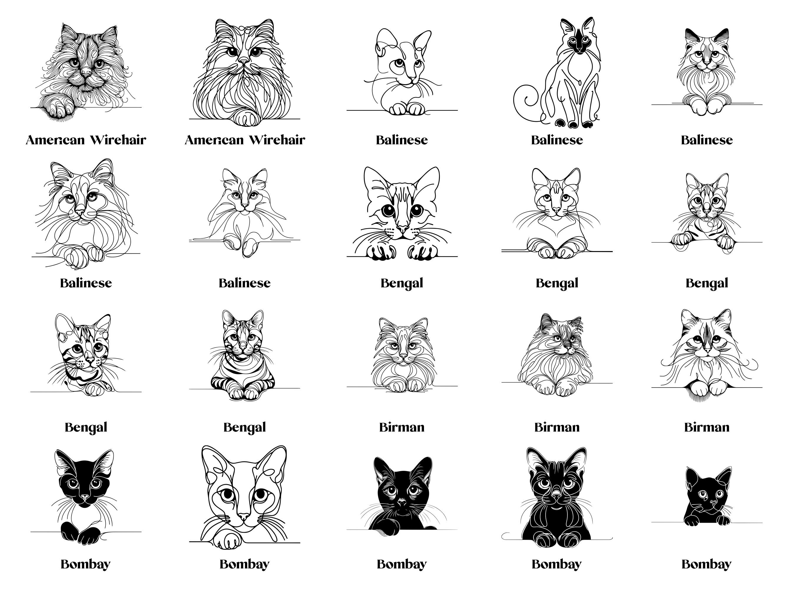 Cats Peeking Line Art SVG Bundle: 45 Breeds (digital Download) - Etsy