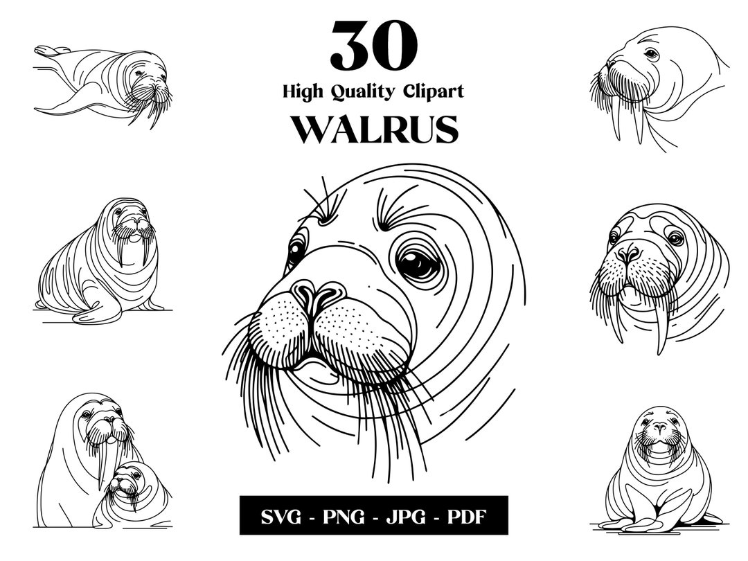 Walrus SVG Clipart, Minimalist Line Art, Logo Animal Vector, Modern Art ...