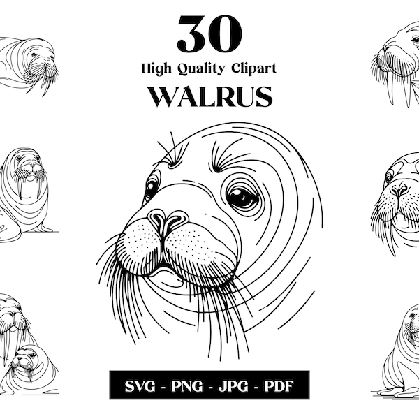 Walrus - Etsy