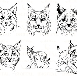 Lynx SVG Clipart, Feline Minimalist Line Art, Logo Animal Vector ...