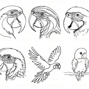 Macaw Line Art SVG Clipart: Modern Parrot Vector (digital Download) - Etsy
