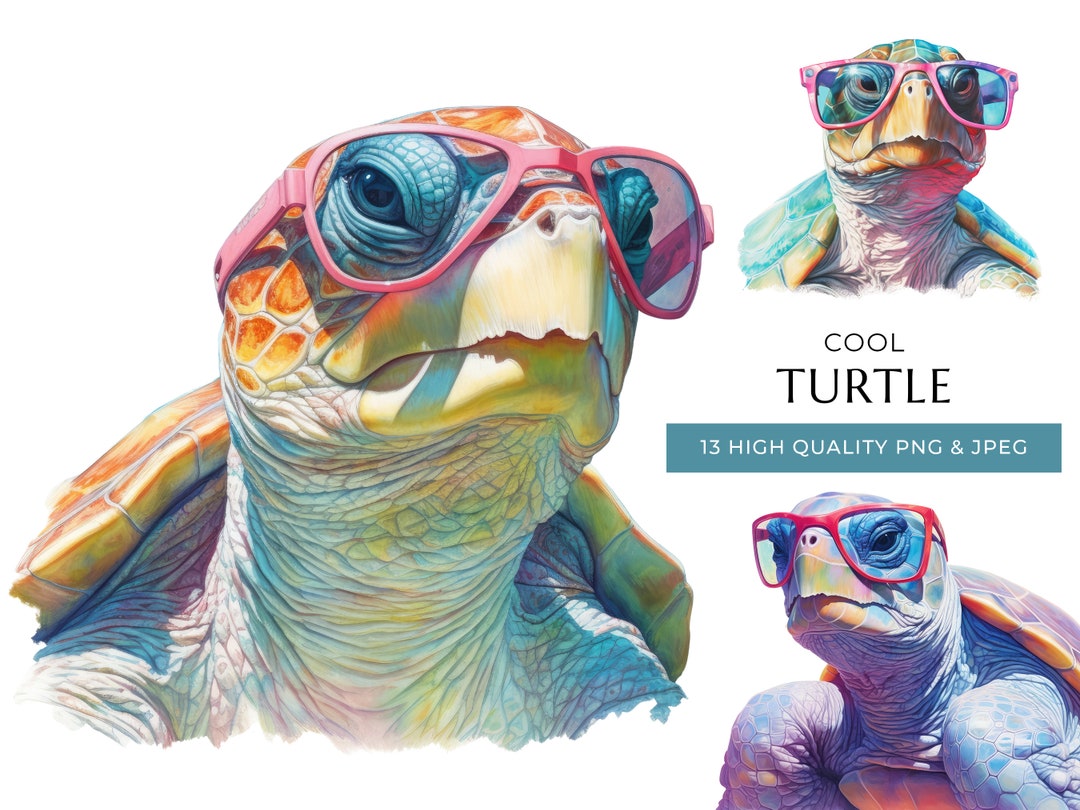 Watercolor Turtle Clipart With Sunglasses, 13 High-quality PNG & JPEG ...