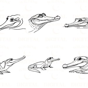 Gharial Line Art SVG: Minimalist Alligator Vector (digital Download) - Etsy