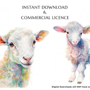 Baby Sheep Watercolor Clipart 7 Pngs, Nursery Decor, Farm Theme Wall ...