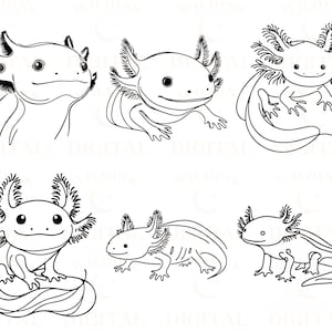 Axolotl SVG Clipart, Water Salamander Minimalist Line Art, Logo Animal ...