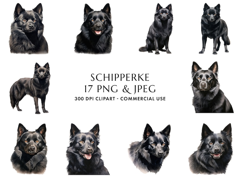 Watercolor Schipperke Clipart Bundle, Dog Breed Art (digital Download ...