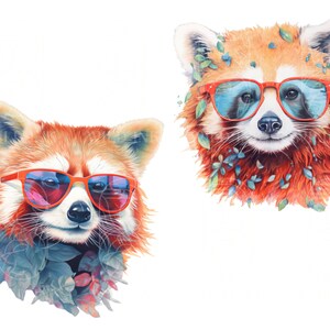 Watercolor Red Panda Clipart With Sunglasses (digital Download) - Etsy