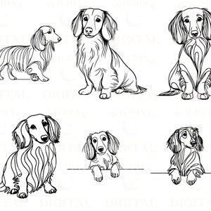 Longhaired Dachshund Line Art: SVG PNG Clipart Bundle (digital Download ...