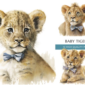 Baby Lion Watercolor Clipart: Safari Nursery Art (digital Download) - Etsy