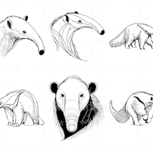 Giant Ant Eater SVG Clipart, Minimalist Line Art, Logo Animal Vector ...