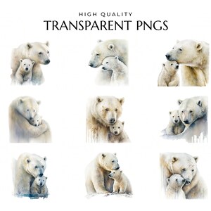 Mom and Baby Polar Bear Clipart, 9 High Quality Pngs, Watercolor Cute ...