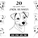 Jack Russell Face Outline SVG: Dog Breed Design (digital Download ...