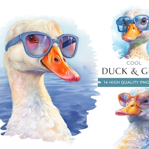 Watercolor Duck and Goose Clipart With Sunglasses (digital Download) - Etsy