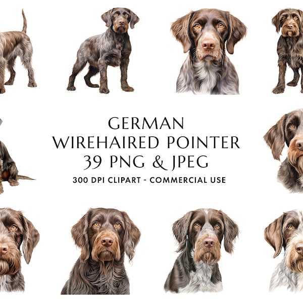 German Wirehaired Pointer - Etsy