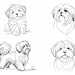Lhasa Apso SVG & PNG Clipart Bundle: Digital Line Art, Minimalist ...