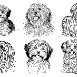 Havanese Line Art Clipart Bundle: Minimalist Dog Vector (digital ...